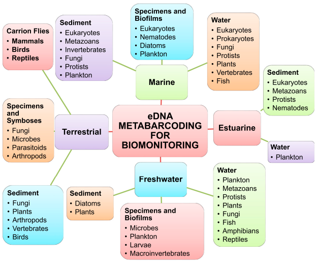eDNA - 인코덤, 생물정보 전문위키